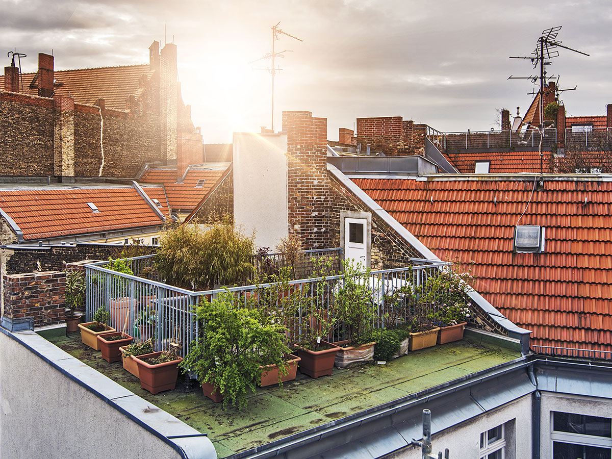 Ragam Inspirasi Desain Rooftop Garden untuk Rumah Anda – Pro-X 207