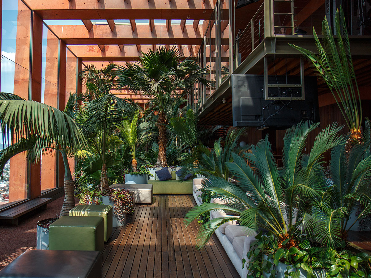 Ragam Inspirasi Desain Rooftop Garden untuk Rumah Anda – Pro-X 207