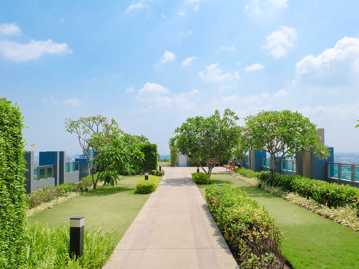 Ragam Inspirasi Desain Rooftop Garden untuk Rumah Anda – Pro-X 207